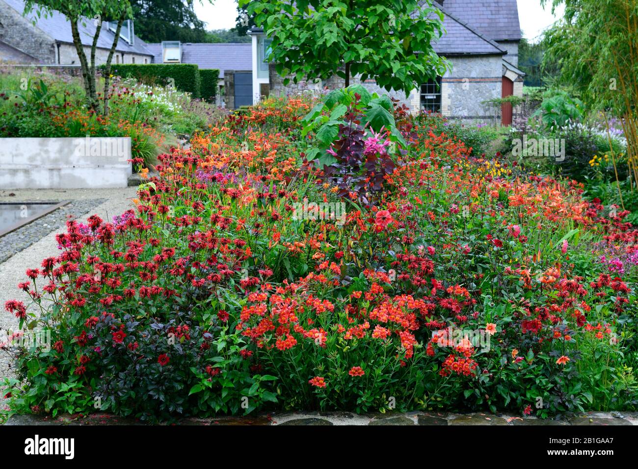 June border hi-res stock photography and images - Alamy