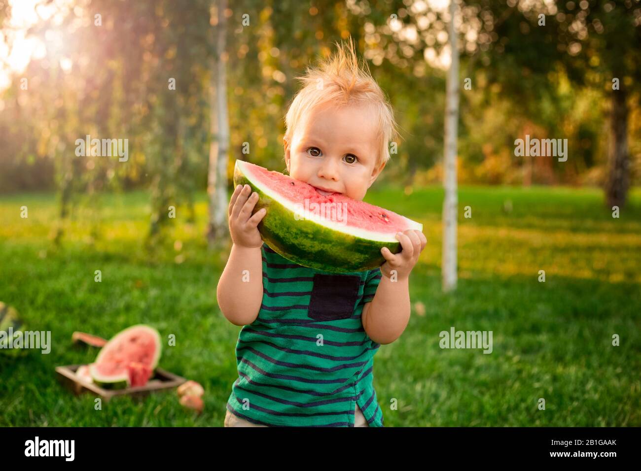Cute little baby boy eating big slice watermelon in the garden. Blond ...