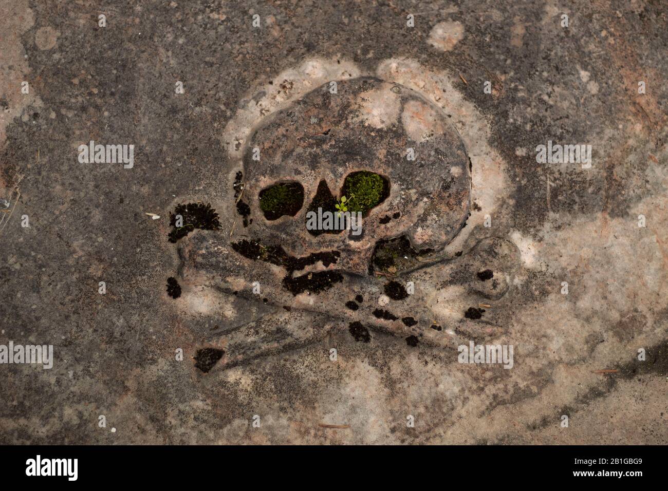 Concrete Skull On The Grave Stock Photo - Alamy
