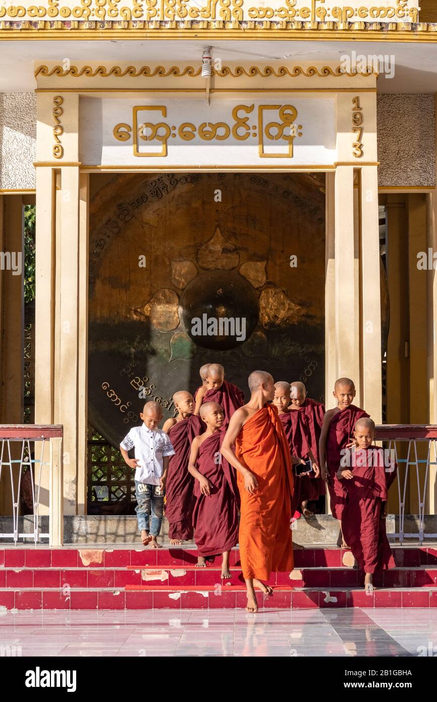 Novice monks procession hi-res stock photography and images - Alamy