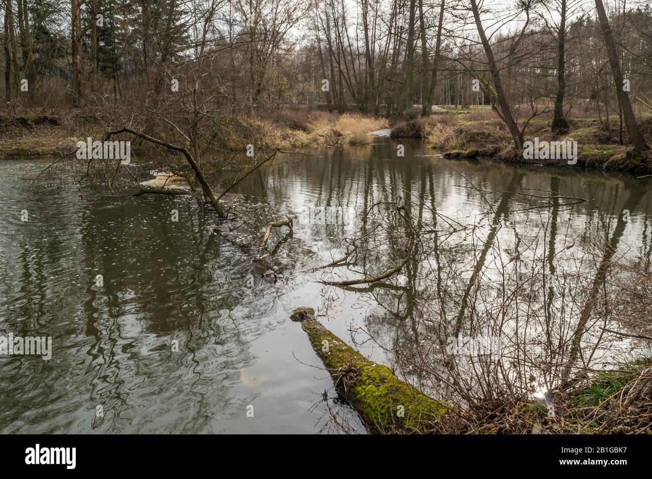 Landscape from a drone showing the river Grabia, Poland – 2020 Stock ...