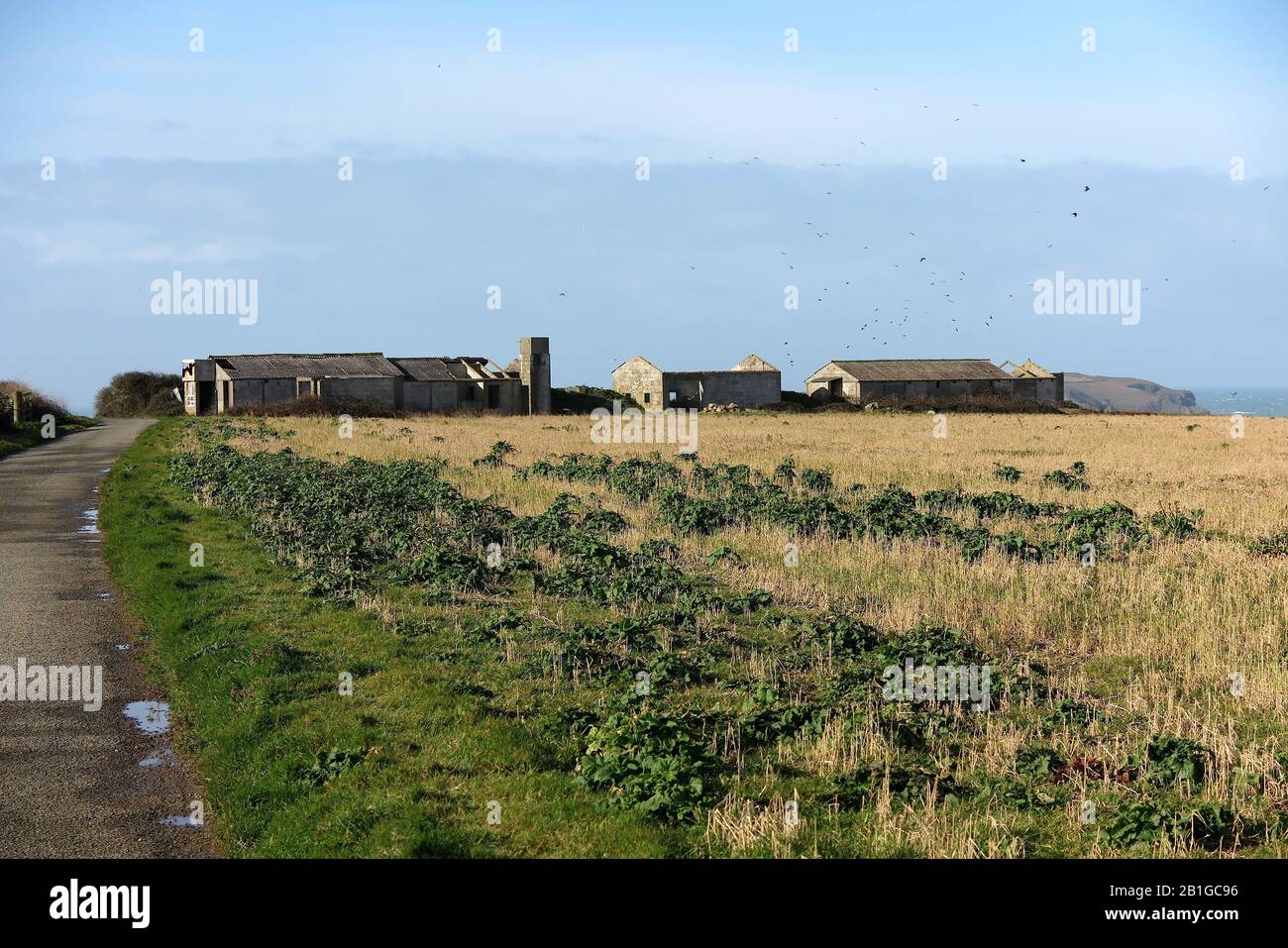 WW1 AIRFIELD PADSTOW Stock Photo - Alamy