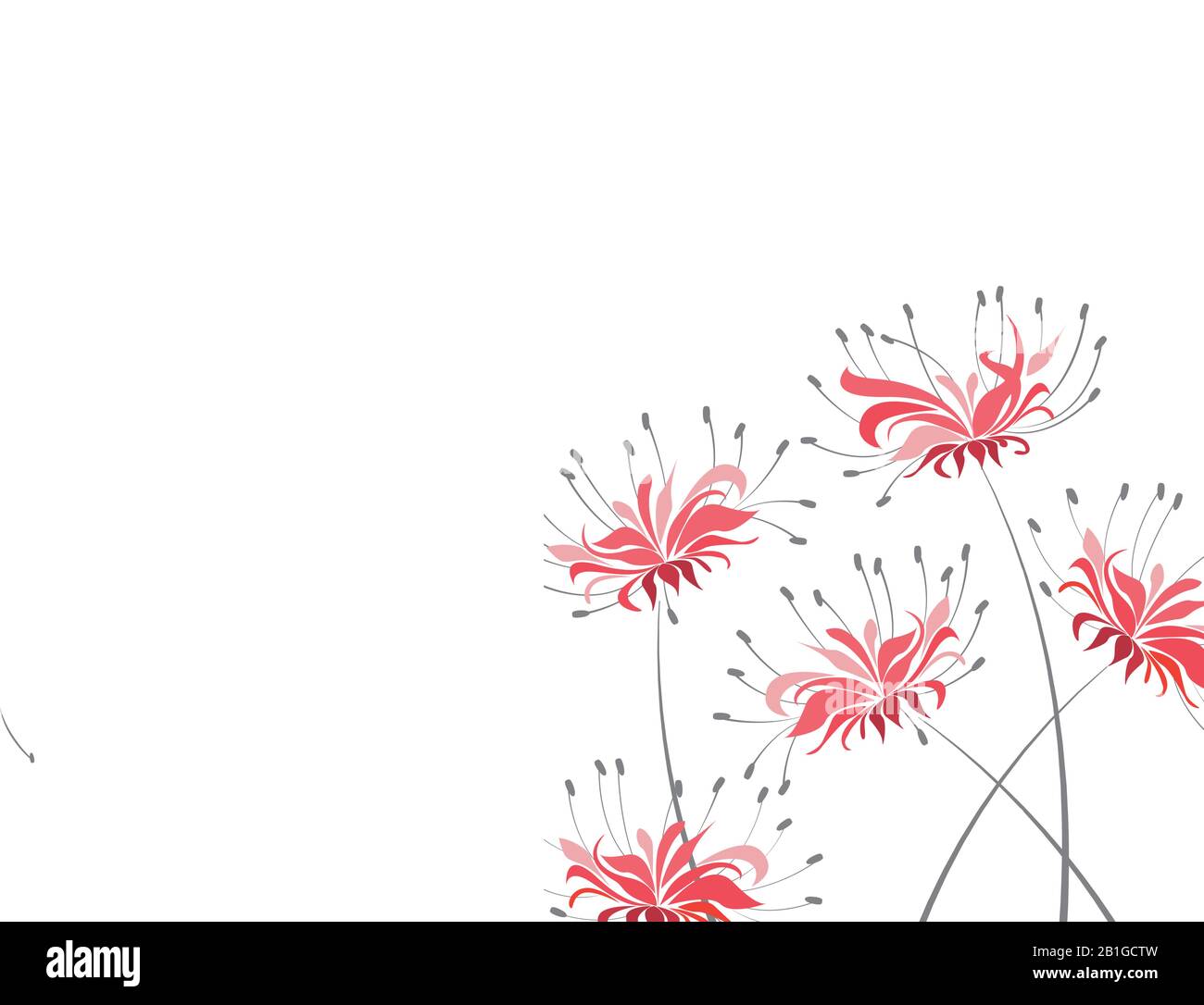 Lycoris flower Stock Vector Images - Alamy