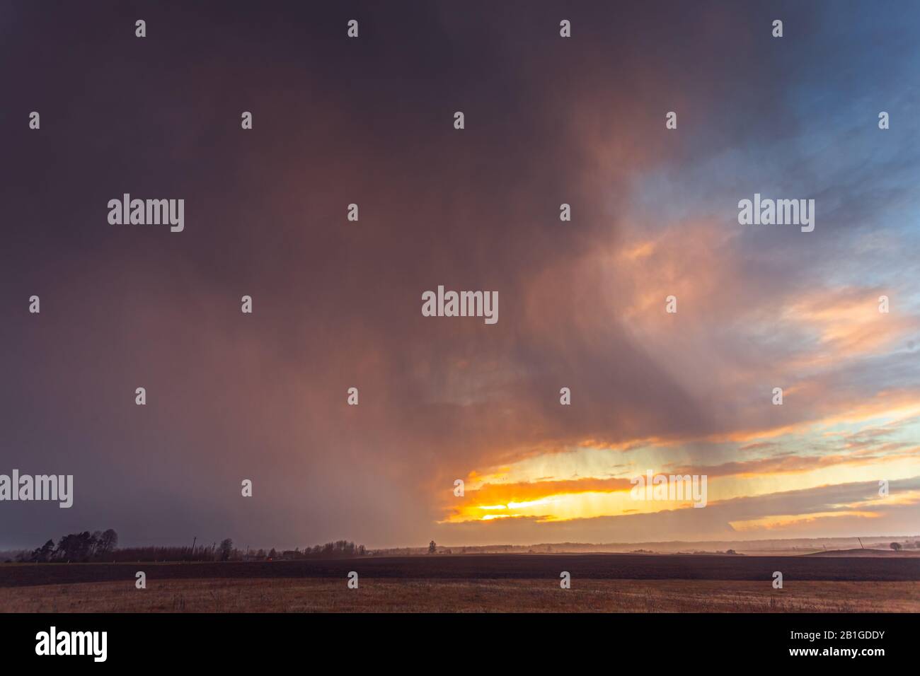 Rain Falling From The Sky