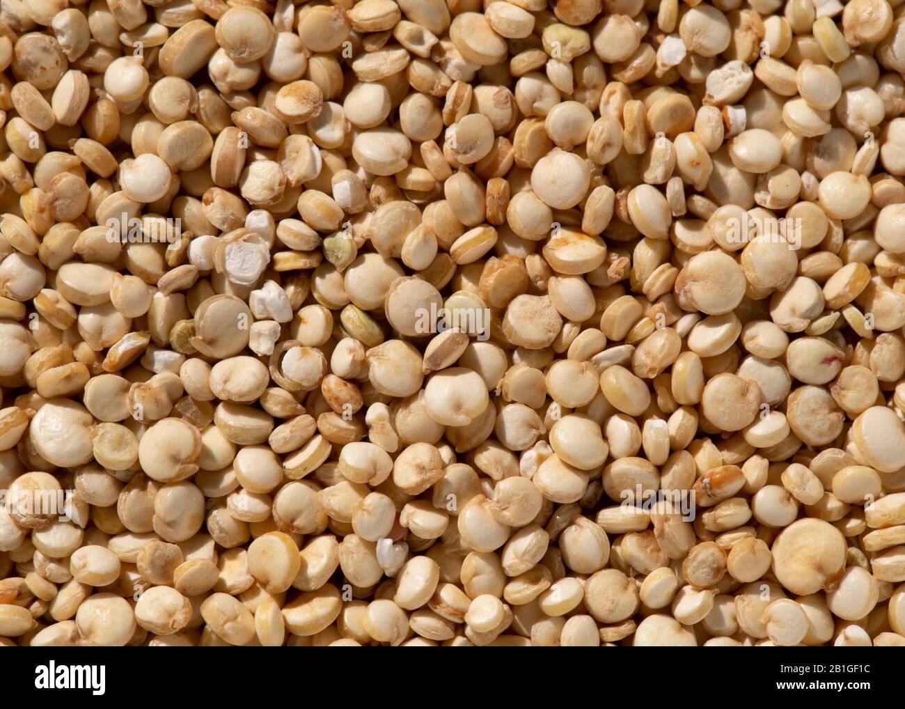 Quinoa macro hi-res stock photography and images - Alamy