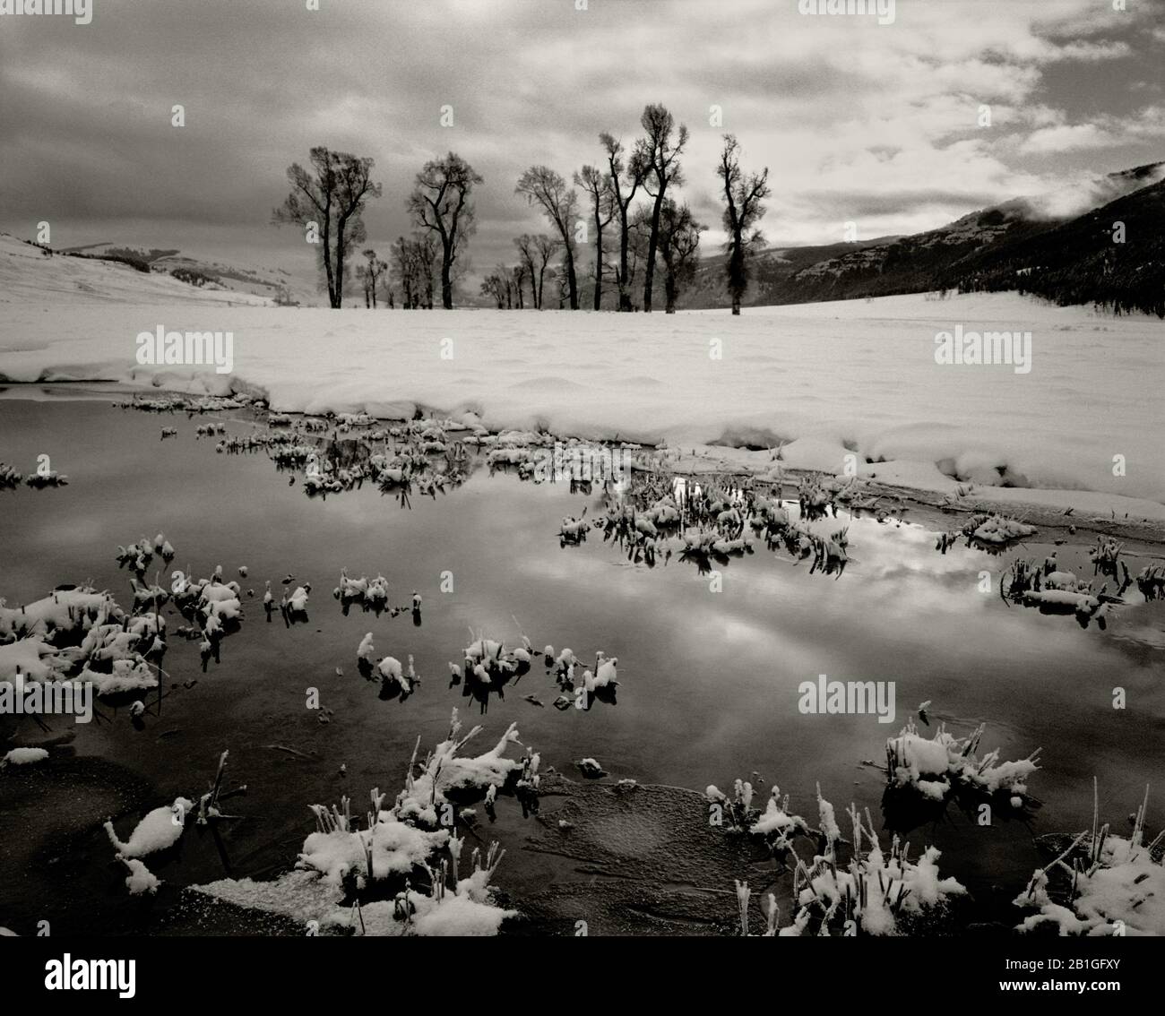 Lamar valley of yellowstone national park hi-res stock photography and ...