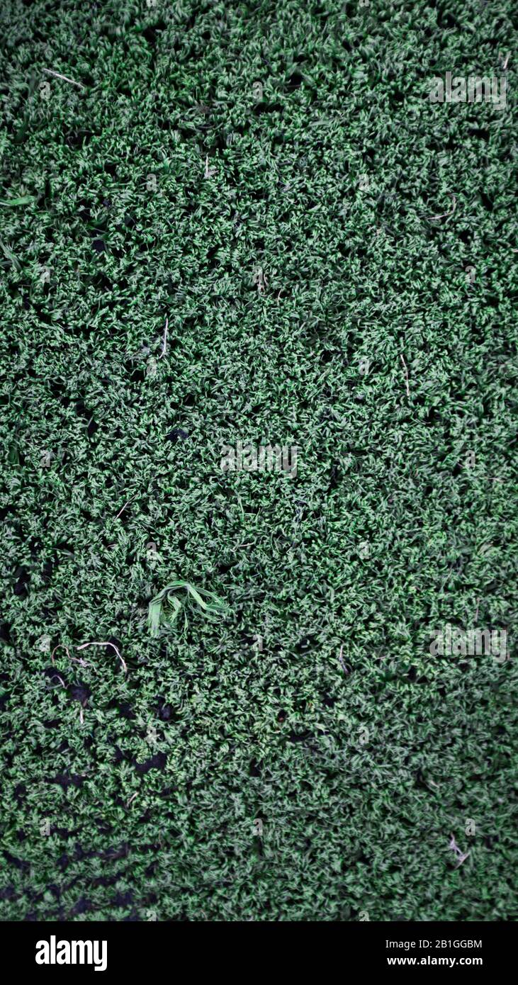 Vertical green grass, artificial green grass background texture Stock ...