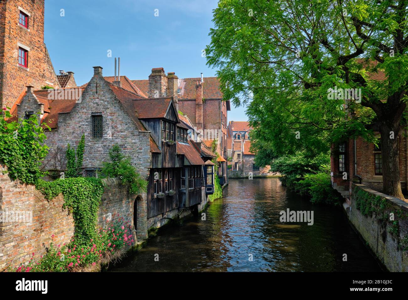Canal with old houses in Bruge, Beligum Stock Photo - Alamy