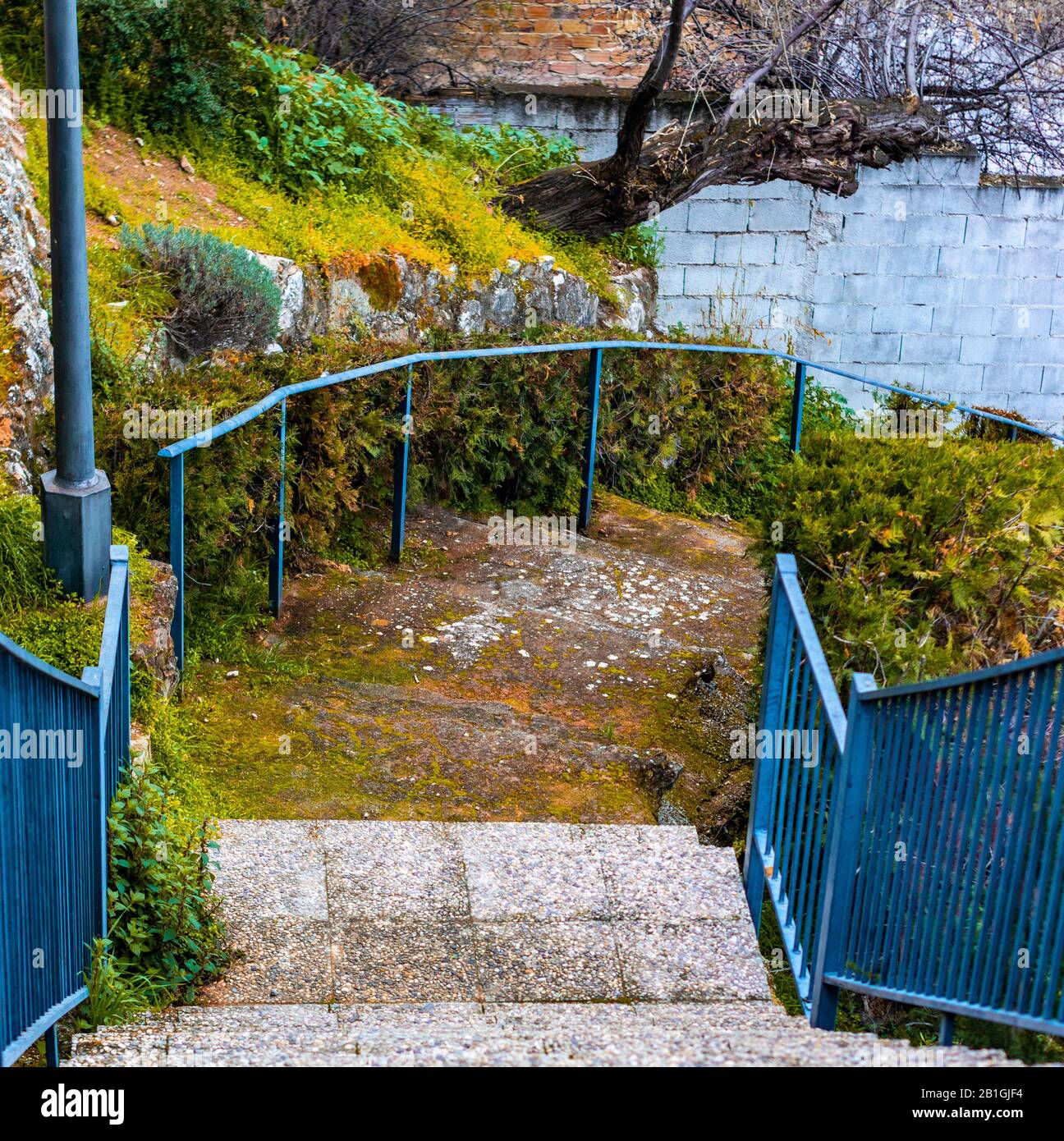 street with many plants with rustic and autumnal appearance Stock Photo ...