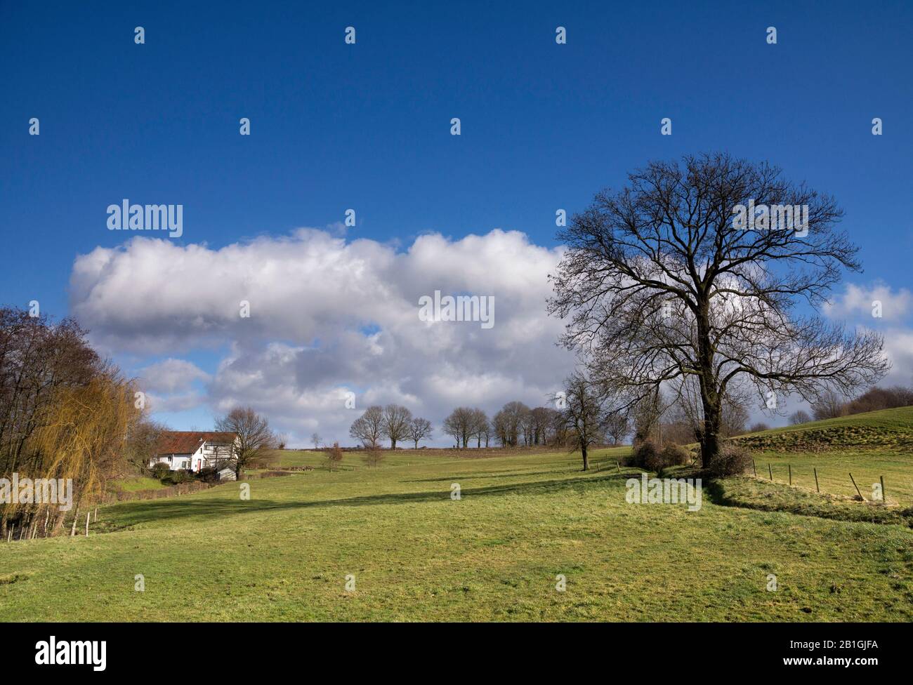 Epen hi-res stock photography and images - Alamy