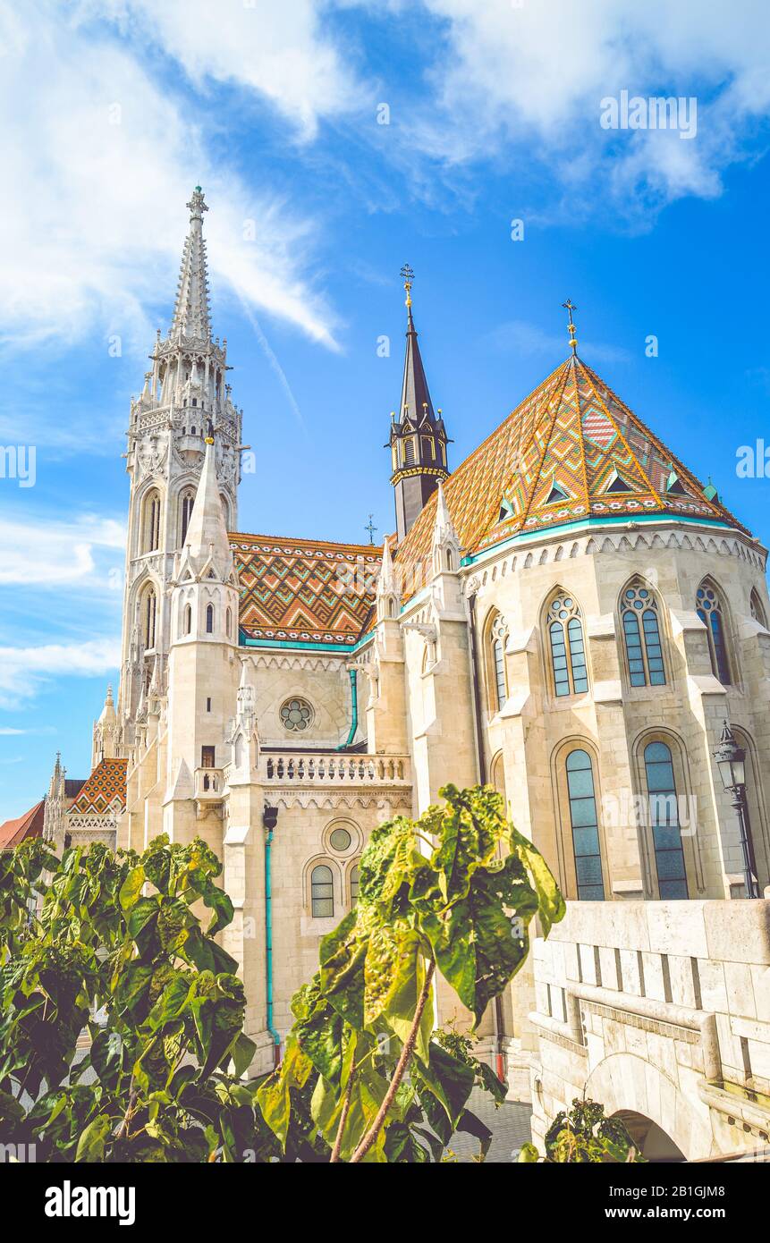 Vertical photo of the Matthias Church, also known as the Church of the ...