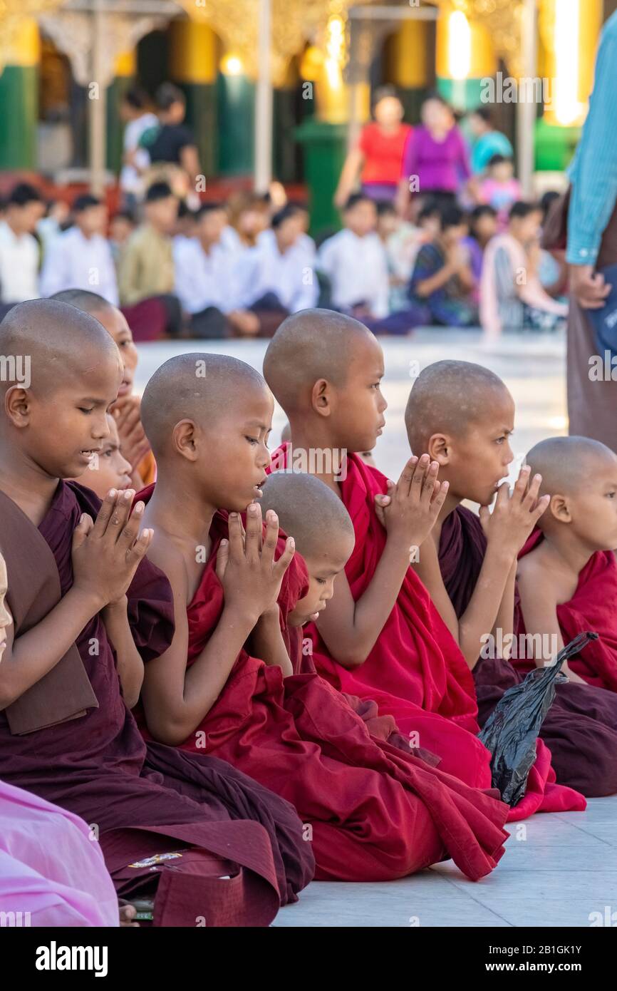 Burmese novice monks and nuns praying at Shwedagon Paya, Yangon ...