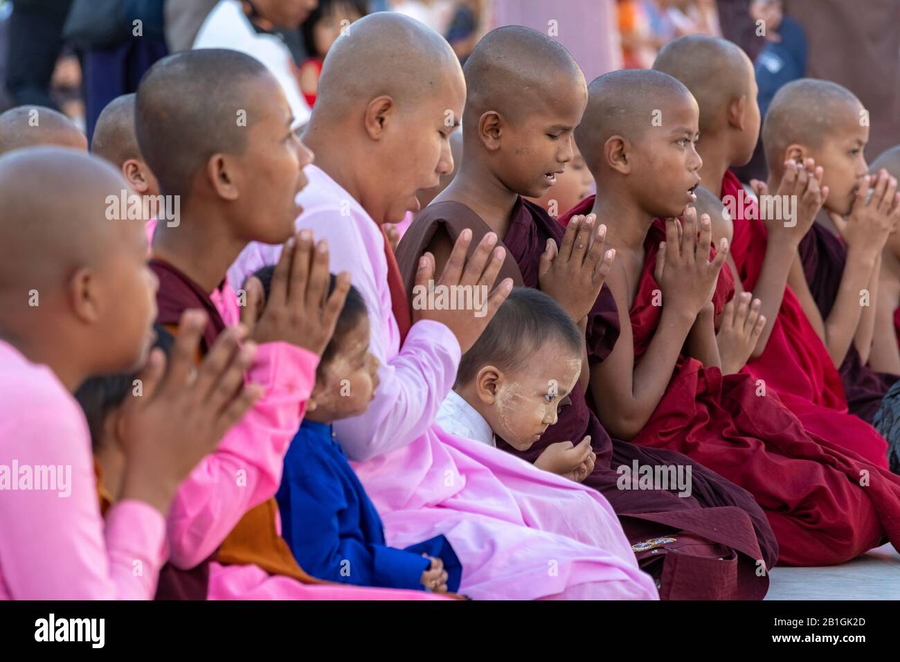 Burmese novice monks and nuns praying at Shwedagon Paya, Yangon ...