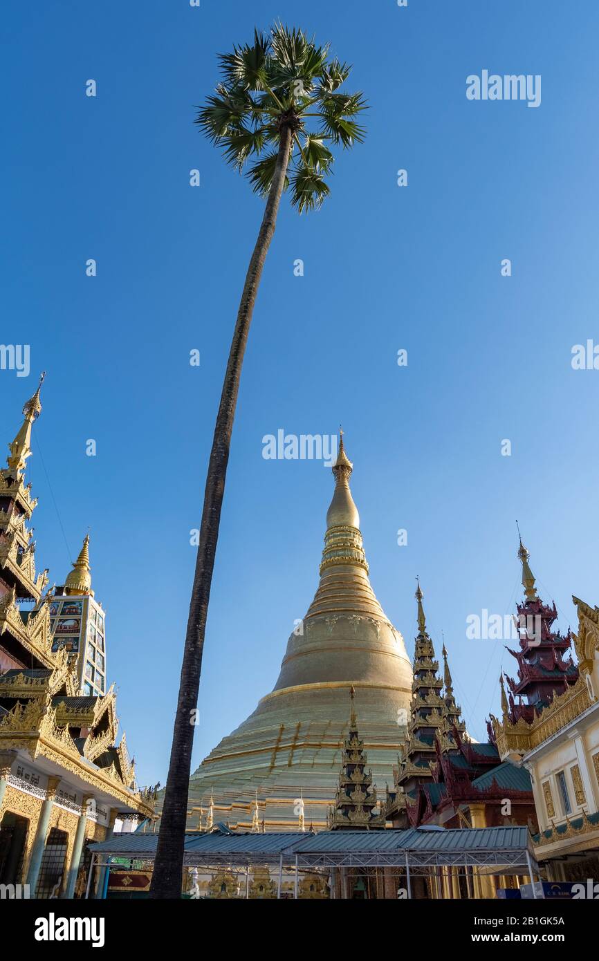 Shwedagon Paya, Yangon, Myanmar Stock Photo - Alamy