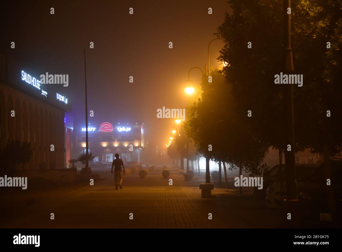 Riyadh, Saudi Arabia. 25th Feb, 2020. A person walks in heavy dust in ...