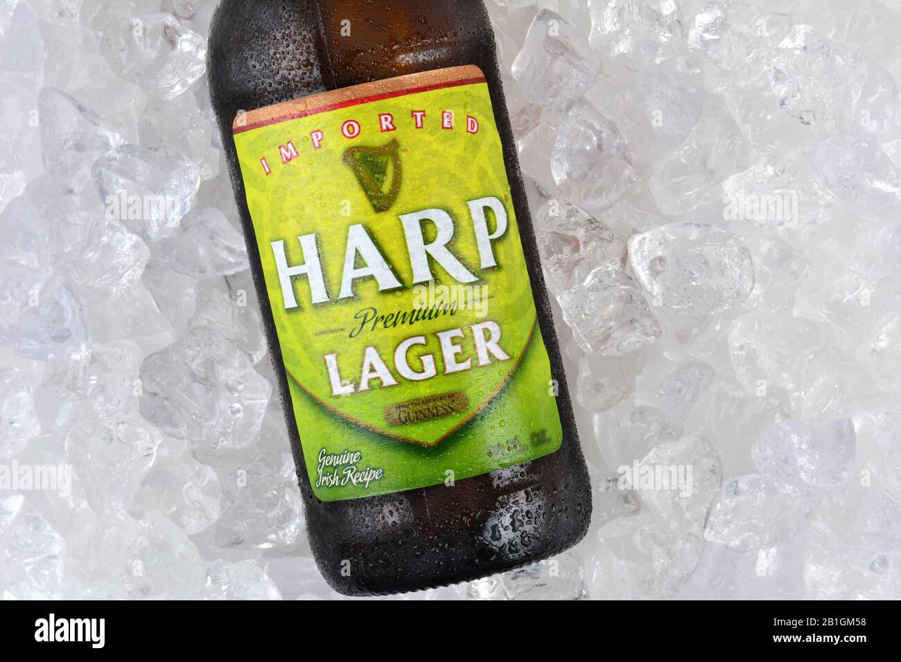 IRVINE, CA - JANUARY 11, 2015: Closeup of a single bottle of Harp Lager ...