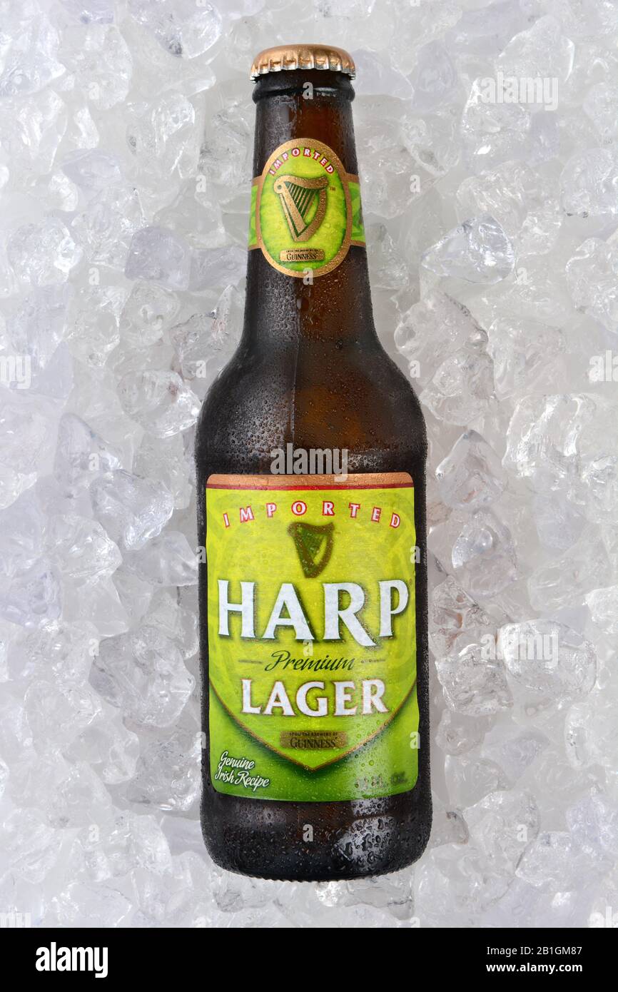 Harp lager hi-res stock photography and images - Alamy