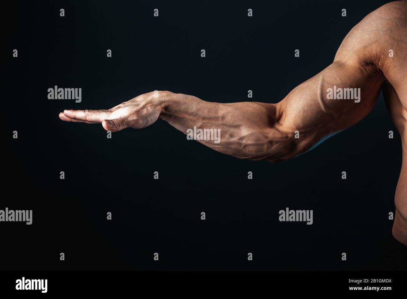 tense arm, veins, bodybuilder muscles on a dark background, isolate ...
