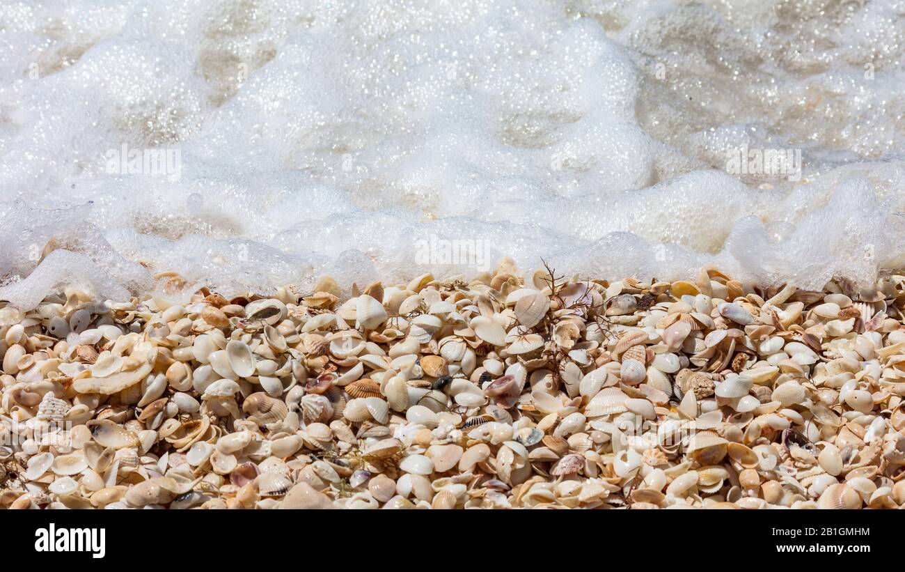 Wave with foam touched shell mountain on the beach, Sanibel Island ...