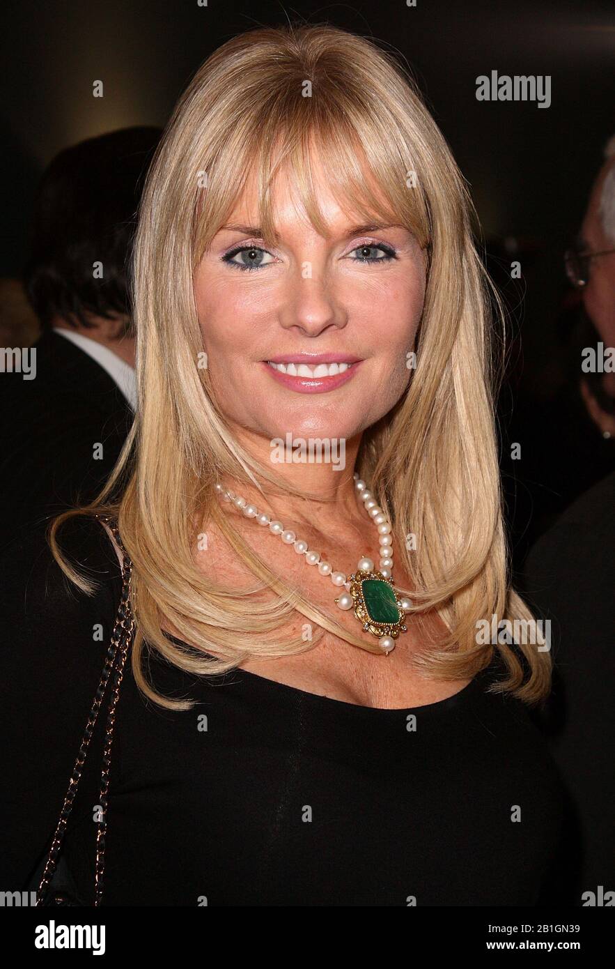 New York, NY, USA. 17 March, 2009. Colleen Rein at the MDG Awards ...