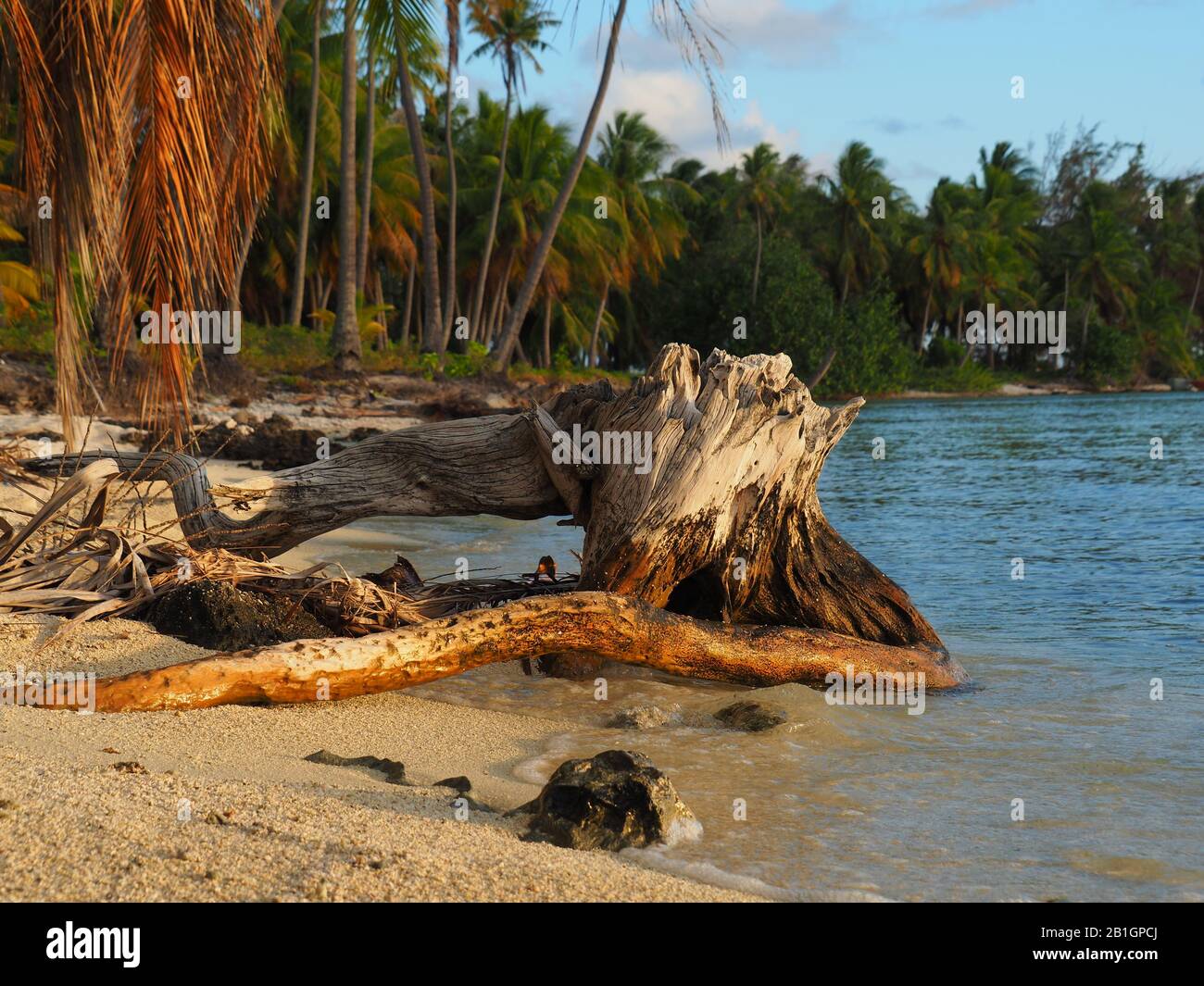 Lonly beach hi-res stock photography and images - Alamy