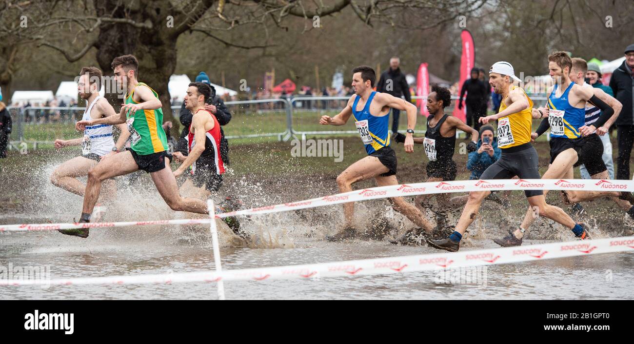 Joe cross hi-res stock photography and images - Alamy