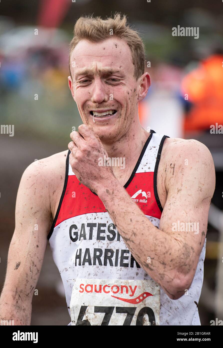 Senior championship race hi-res stock photography and images - Alamy