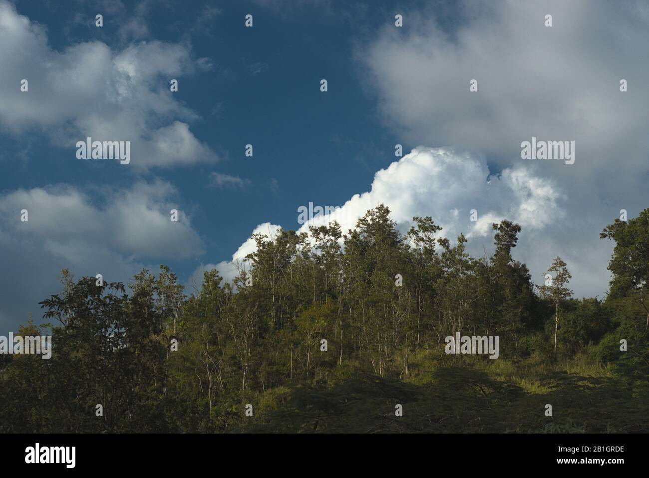Cayey hi-res stock photography and images - Alamy