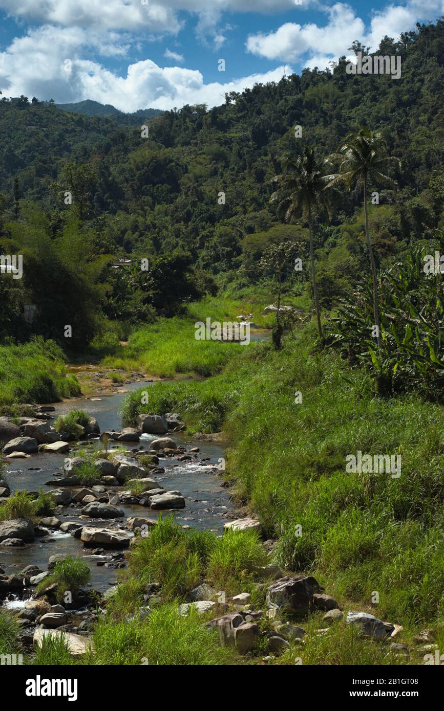 Cayey hi-res stock photography and images - Alamy
