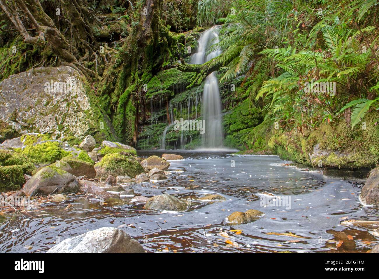 Pig Trough waterfall along the Franklin River Stock Photo - Alamy