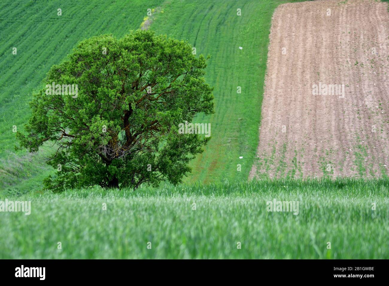 Lonely environment hi-res stock photography and images - Alamy