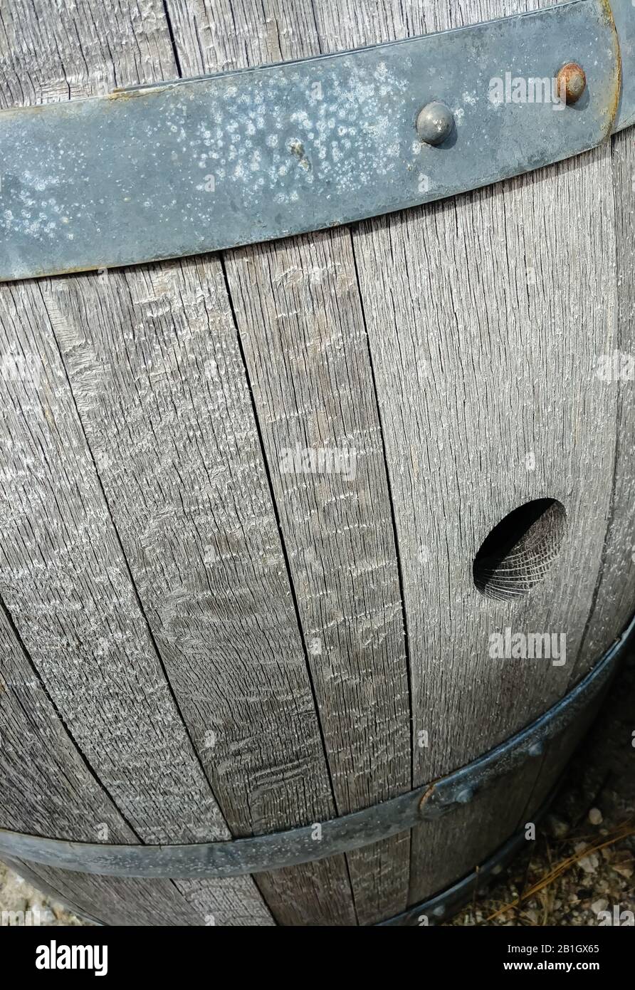 Close-up of bung hole in old gray wood cask between stained metal bands ...