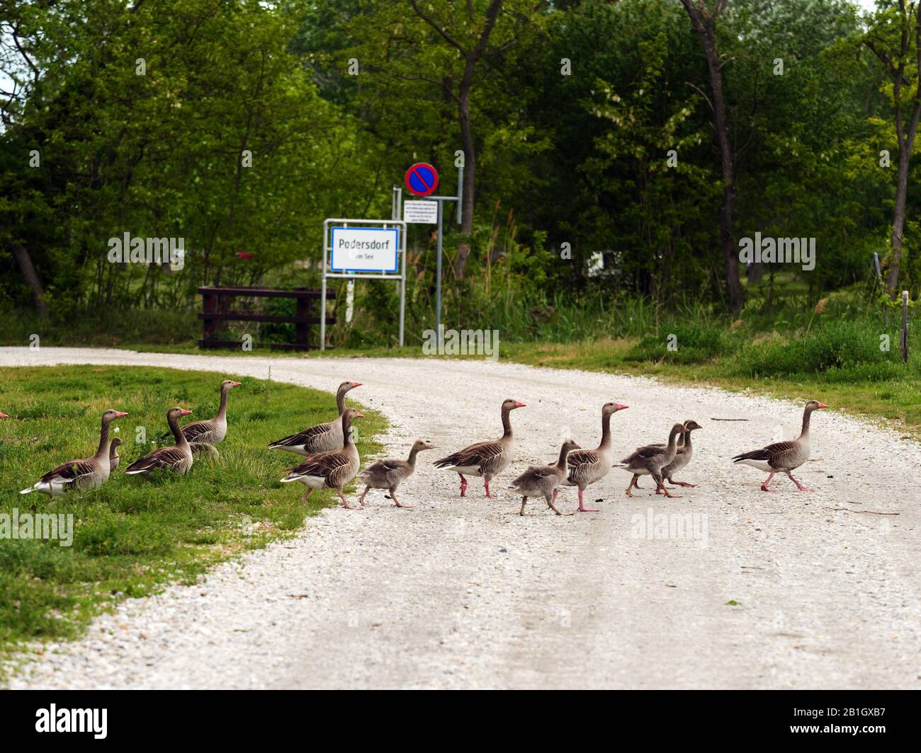 Adult street hi-res stock photography and images - Alamy