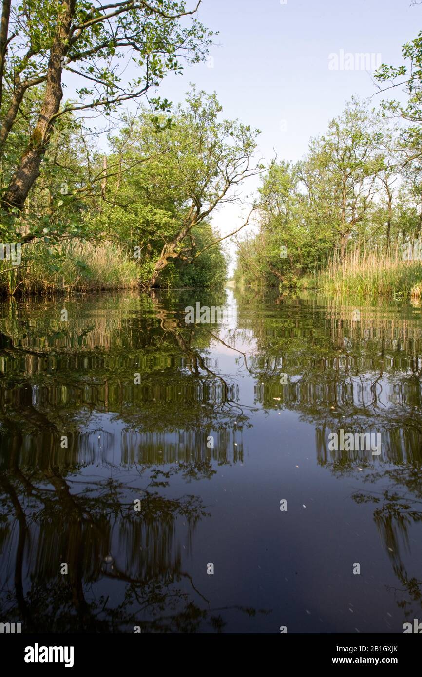 Dutch nature reserves hi-res stock photography and images - Alamy