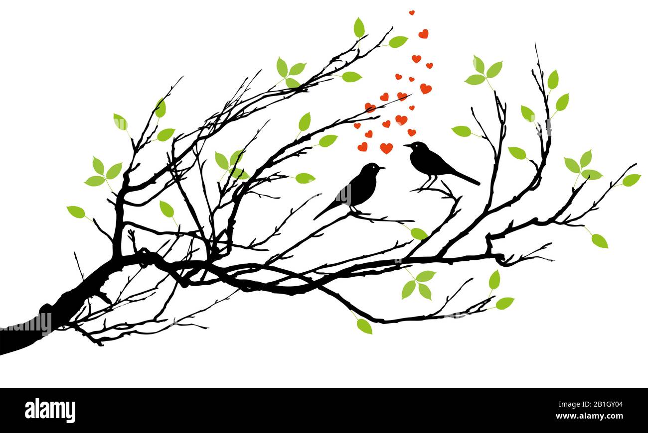 Illustration of two birds on a tree - token of affection Stock Photo ...