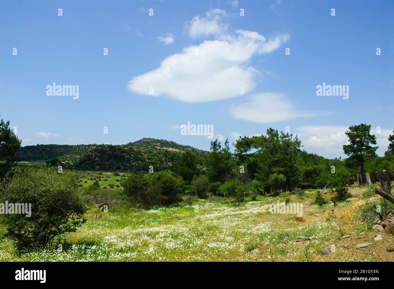 Natural spring greece hi-res stock photography and images - Alamy
