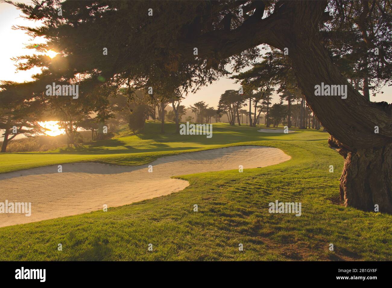 Harding park golf hi-res stock photography and images - Alamy