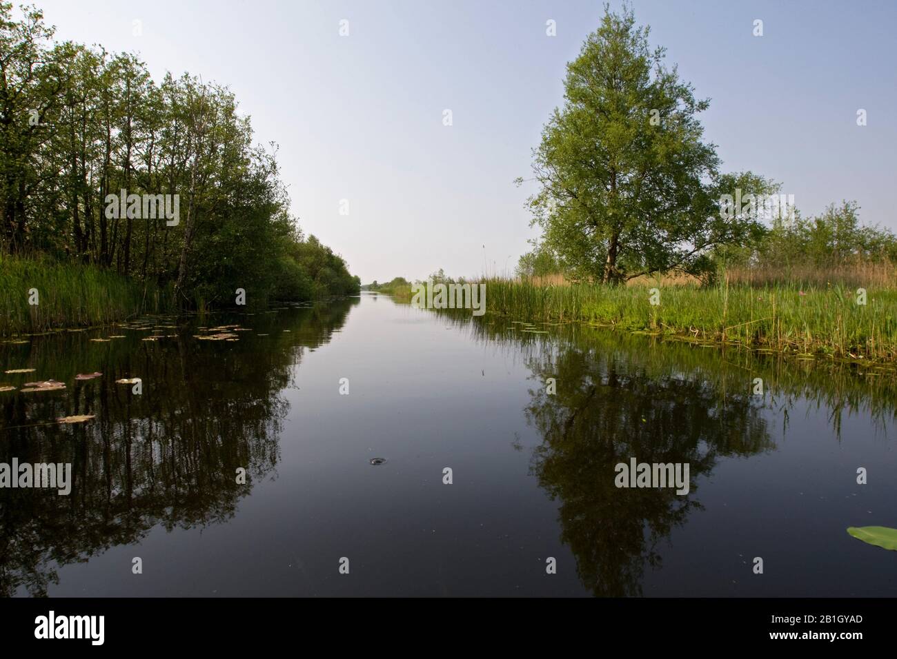 Nature reserve Naardermeer, Netherlands Stock Photo - Alamy