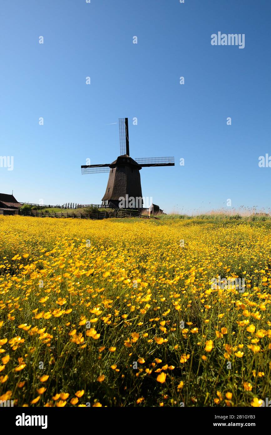 Schermerhorn hi-res stock photography and images - Alamy