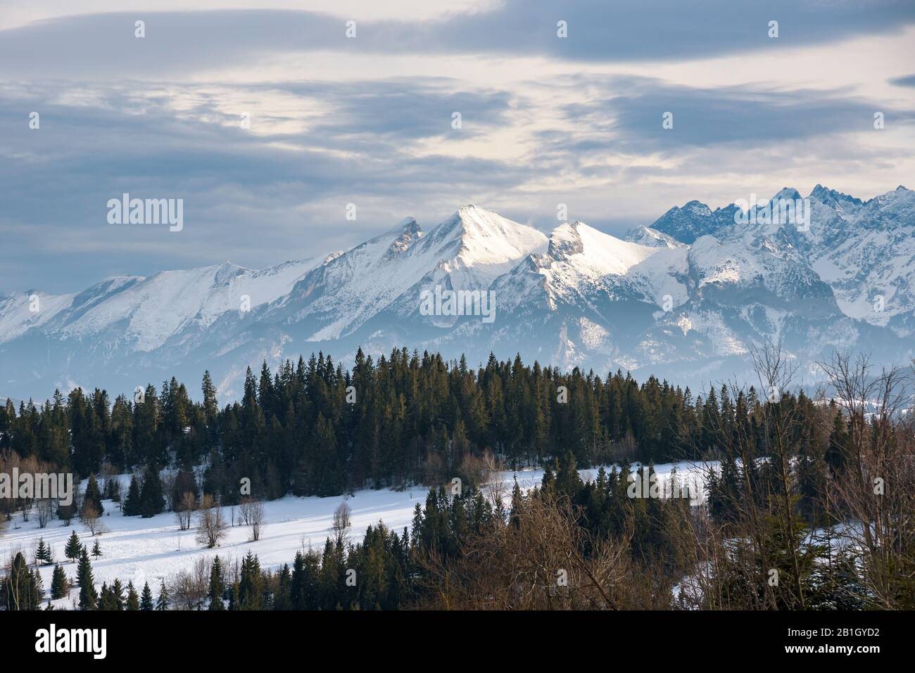 Winter landscape of High Tatra Mountains on the Polish-Slovak border ...
