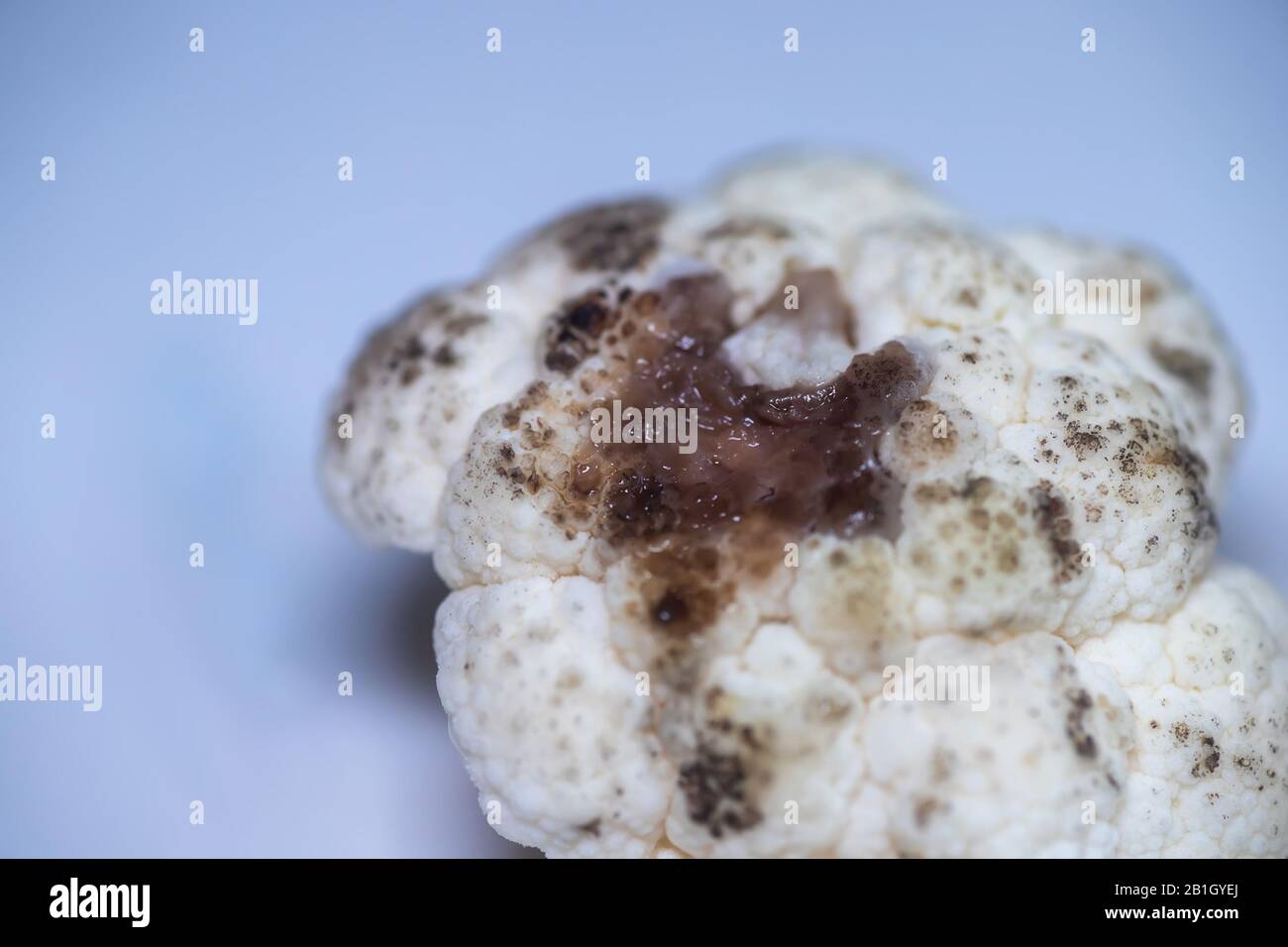 Improper agriculture hi-res stock photography and images - Alamy