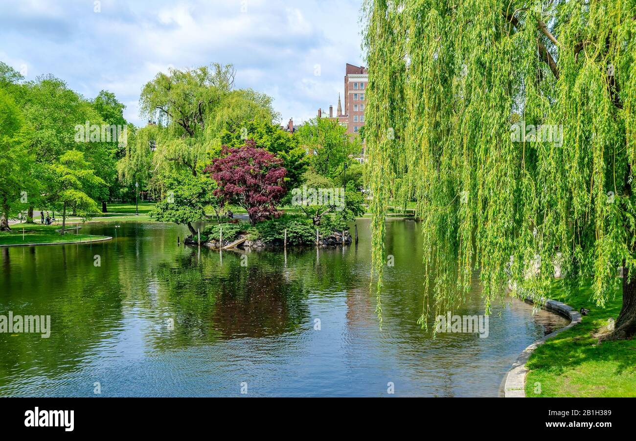 Idillic view in the scenic Boston Public Garden, USA Stock Photo - Alamy