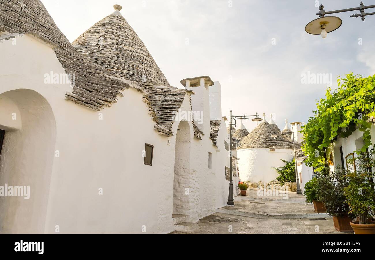 Typical trulli buildings with conical roofs in Alberobello, Apulia ...