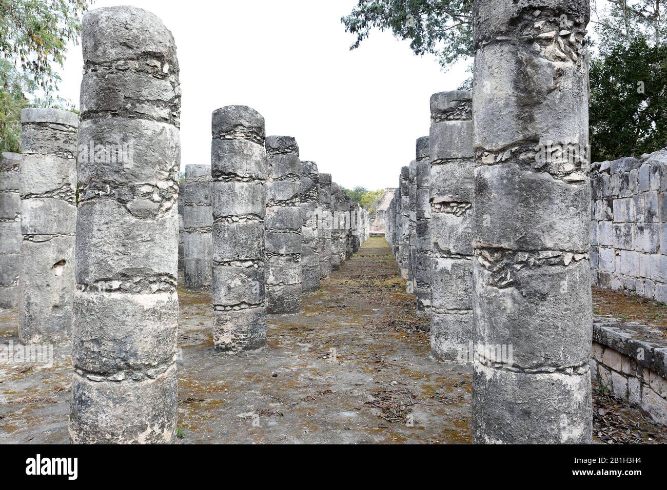 Columns in the Temple of a Thousand Warriors, Chichen Itza, Mexico ...
