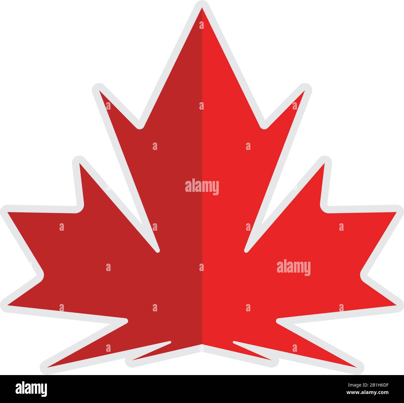 Red leaf japanese maple Stock Vector Images - Alamy