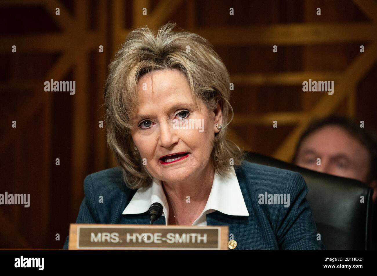 U.S. Senator Cindy Hyde-Smith (R-MS) speaks at a hearing of the Senate ...