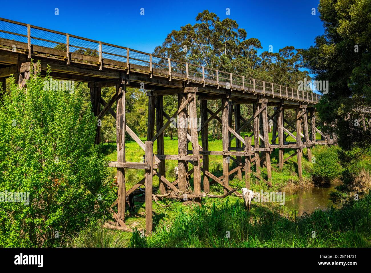 Timboon Rail Trestle Bridge in Victoria, Australia Stock Photo - Alamy