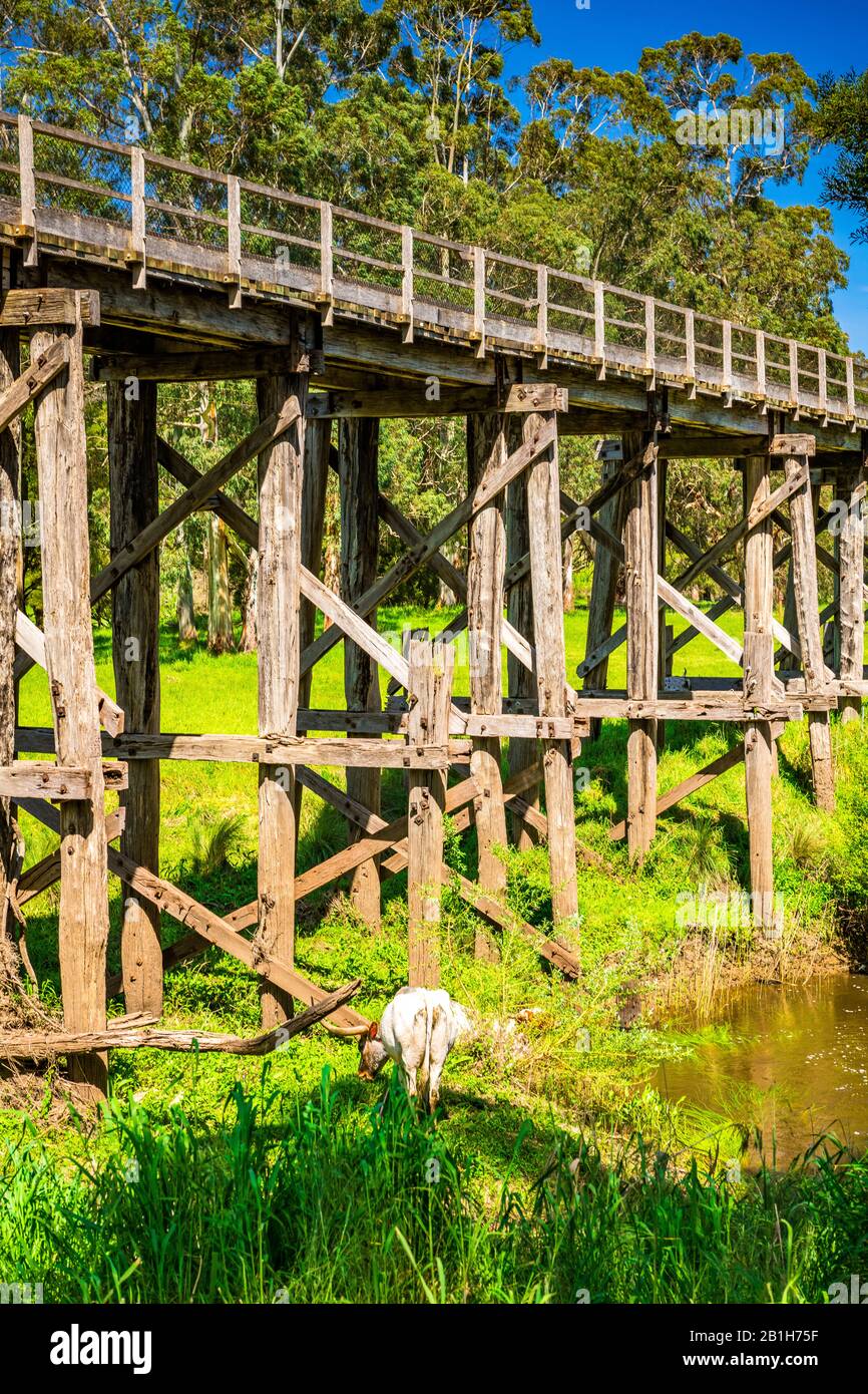 Timboon Rail Trestle Bridge in Victoria, Australia Stock Photo - Alamy