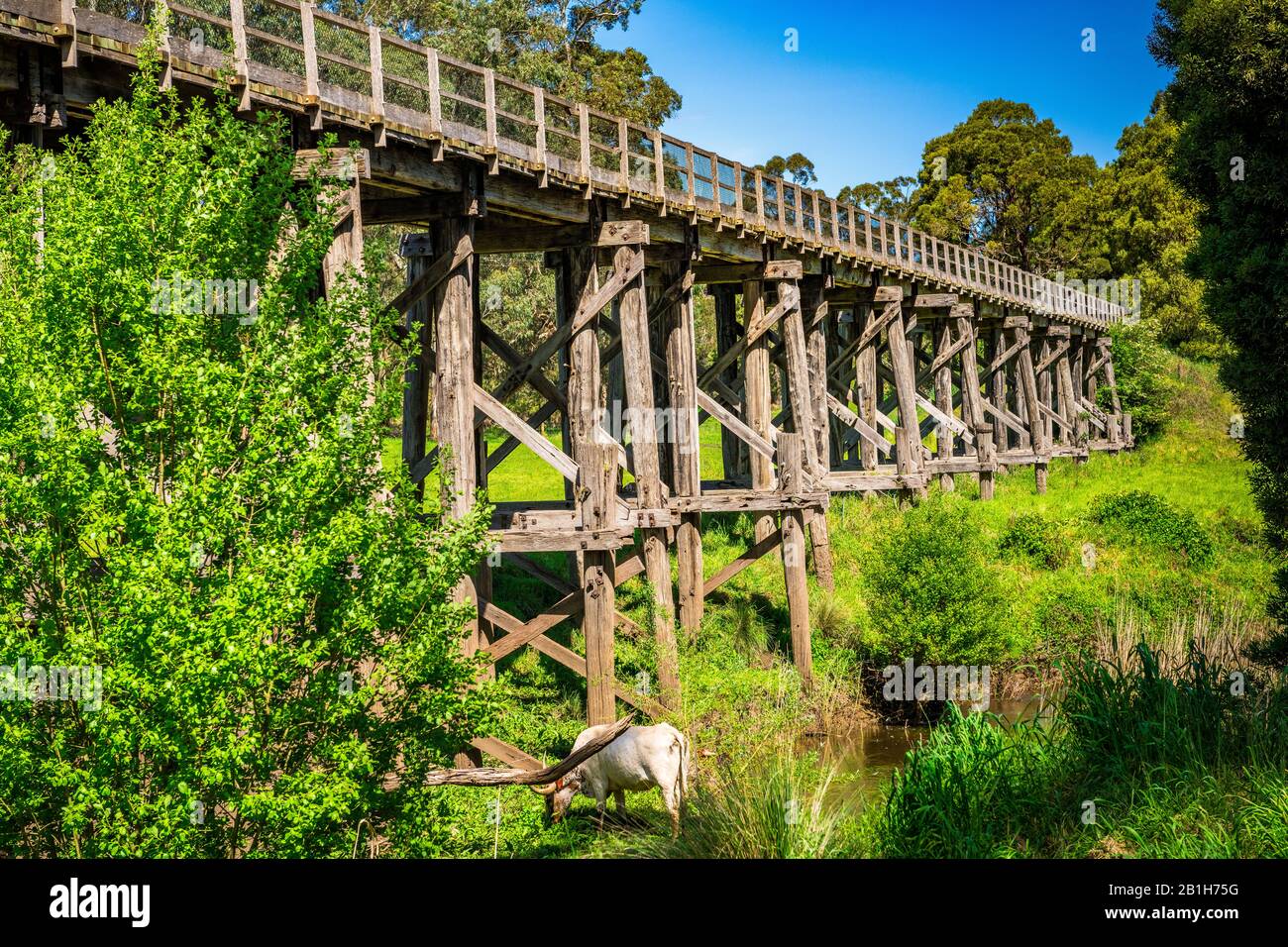 Timboon Rail Trestle Bridge in Victoria, Australia Stock Photo - Alamy