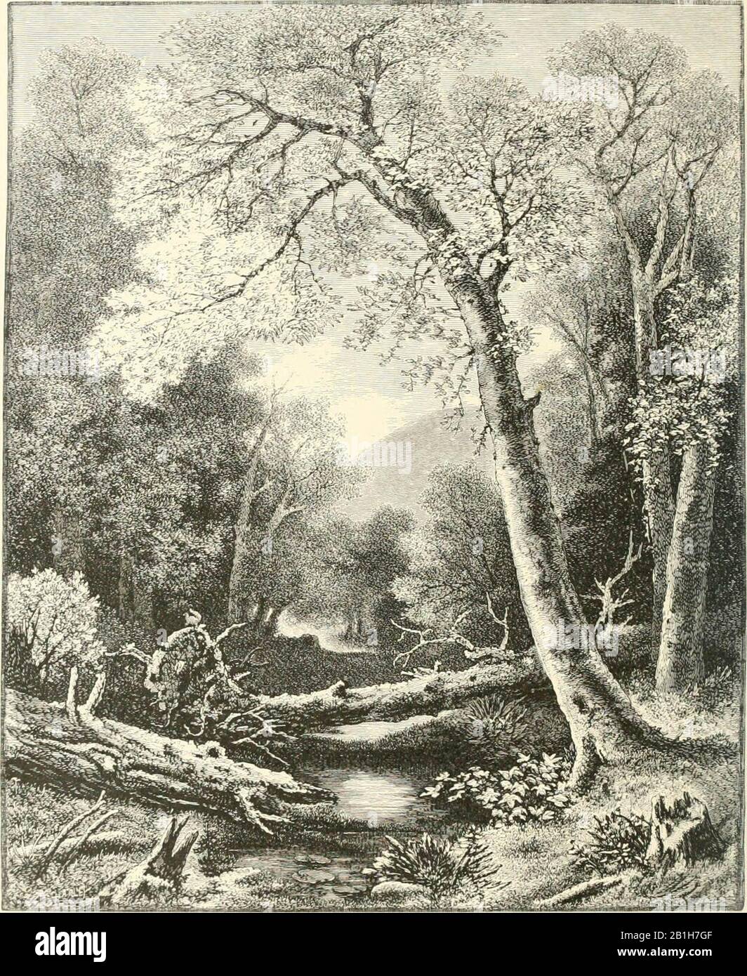 "American painters: with eighty-three examples of their work engraved ...